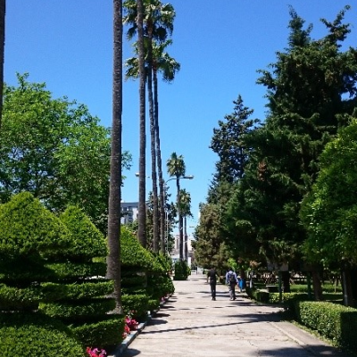 Pedestrian Path Policy on Campus